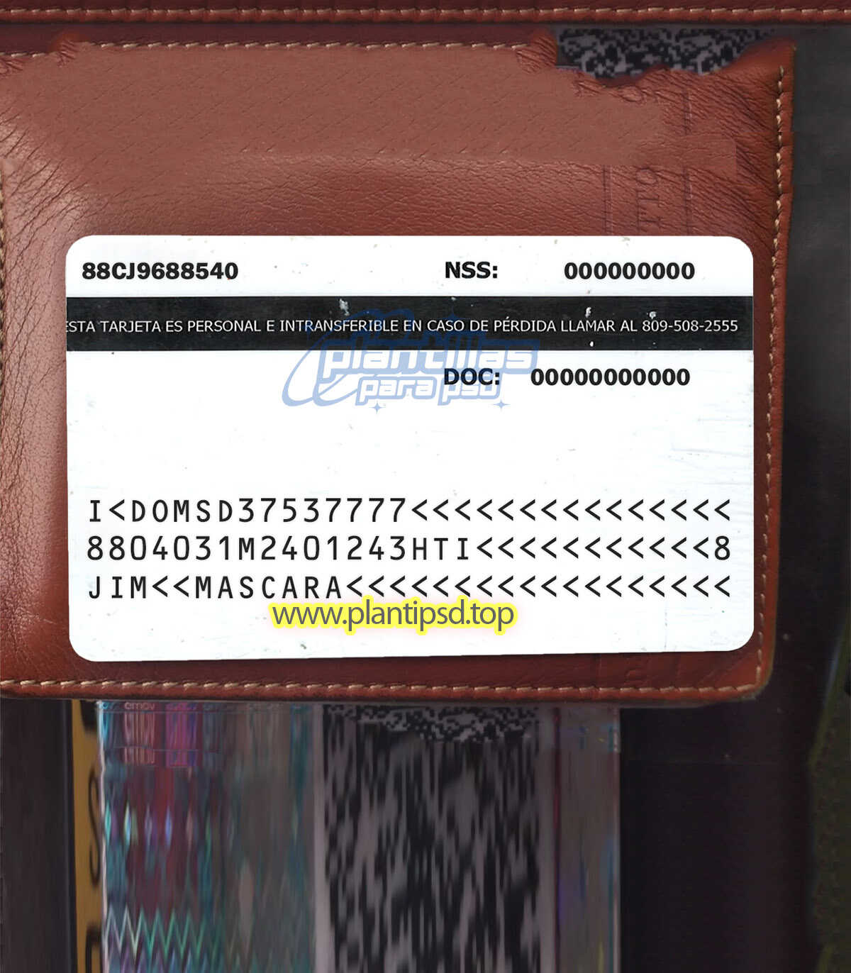 Permiso Temporal de Trabajo de Republica Dominicana - Plantilla Digital ...